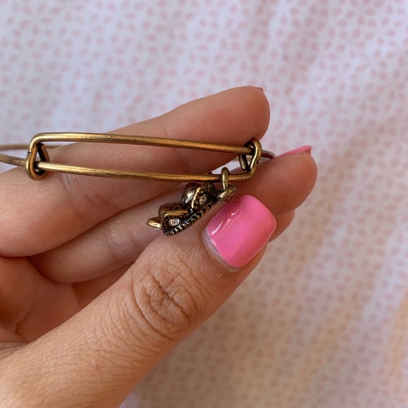 Jewelry | Alex And Ani Crown Gold Bracelet | Poshmark